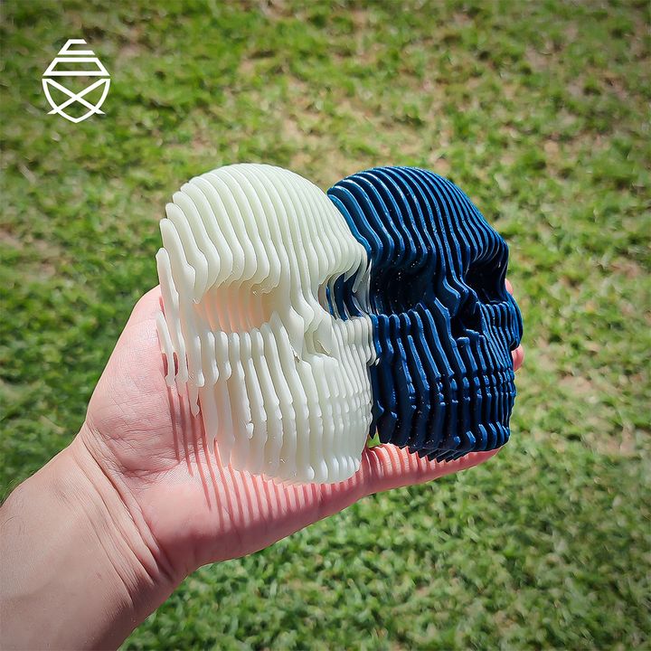 3D Printable Quantum Skull by PipeCox
